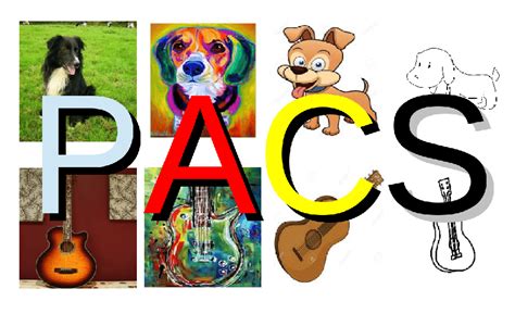 6 The Pacs Dataset Consists Of Images Captured From Different Visual Download Scientific