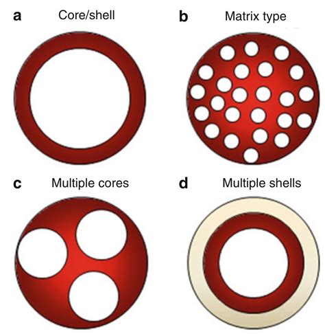 Encapsulation Fig 1 Schematic Diagrams Of Capsules With