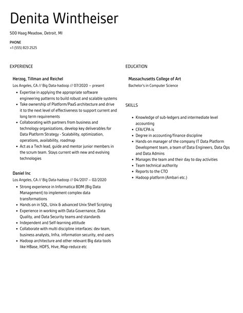 Big Data Hadoop Resume Samples Velvet Jobs