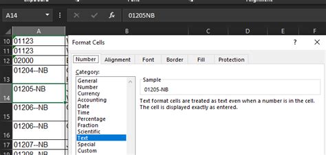 Ms Excel Shows Extra Hyphen In Cell Stack Overflow