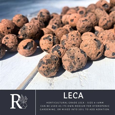 Leca Lightweight Expanded Clay Aggregate Hydroton 8 16mm Size For