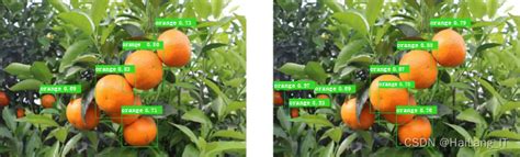 【毕业设计选题】基于深度学习的柑橘果实目标检测系统 Yolo Python 卷积神经网络 人工智能基于深度学习的目标橘子识别方法研究 Csdn博客