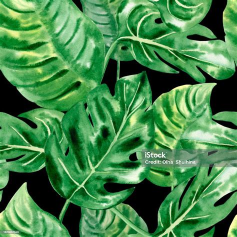 수채화 손으로 그린 몬스터는 매끄러운 패턴을 남깁니다 열대 단풍 배경 직물과 포장지용 정글 프린트 이국적인 벽지 가리기에 대한