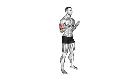 Wrist Flexion Ultimate Exercise Guide And Tips [video] Boost Strength And Flexibility