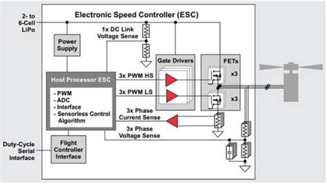 use sensorless vector control with bldc and pms motors to deliver