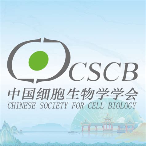 Cscb Problems And Troubleshooting And Solutions