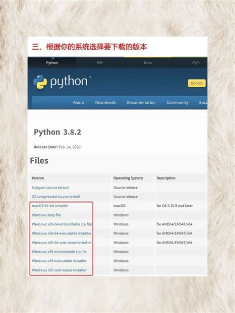 Python下载安卓教程 夜雨聆风