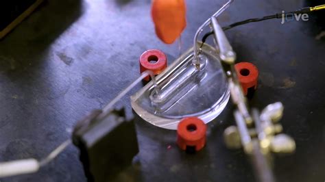 video target peptide detection and measurement using a capacitive