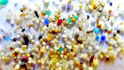 Did You Know Cosmetics Contain Non Biodegradable Microbeads