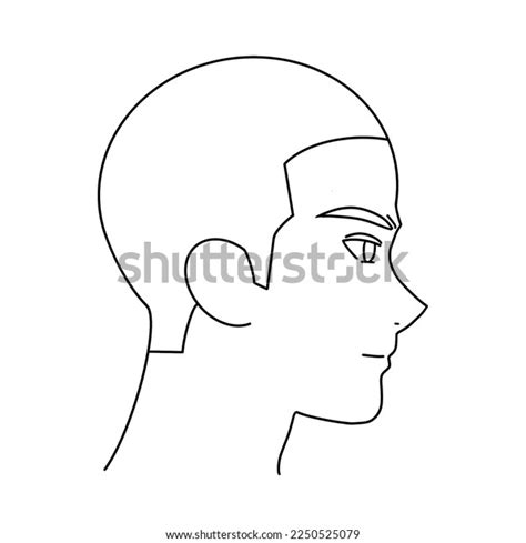 Head Sheets Mans Hair Make Stock Illustration 2250525079 Shutterstock