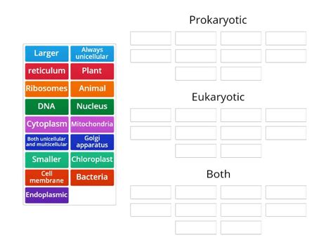 Prokaryotes And Eukaryotes Sort Group Sort