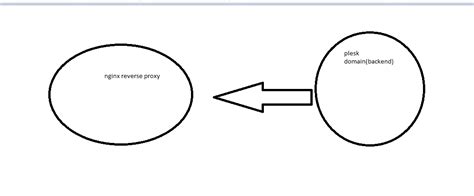 Webserver Making A Reverse Proxy To A Domain Hosted In Plesk Or Cpanel With Nginx Stack Overflow