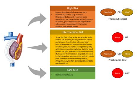 Anticoagulation Algorithm For Fontan Patients American College Of Cardiology