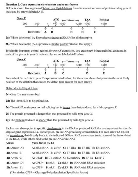 Solved Question 2 Gene Expression Cis Elements And
