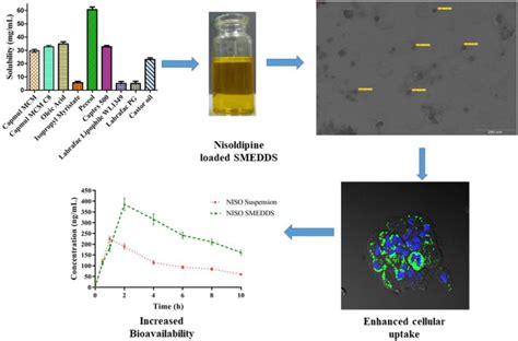 Development Of Self Microemulsifying Drug Delivery System To Improve Nisoldipine Bioavailability