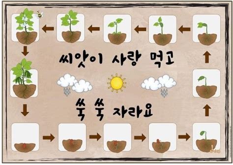 빛나는 해피엔딩 네이버 블로그 발도르프 유치원 유치원 과학영역 유치원 아이디어