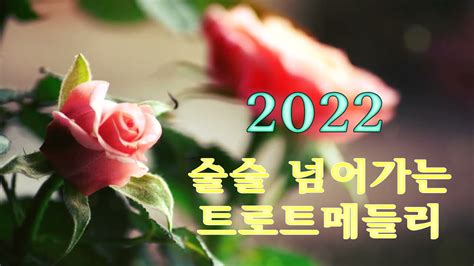 광고없는 신나는 트로트 메들리 1시간🌷매일 들어도 좋은 노래 모음 아줌마 아저씨 신나는 트로트 메들리 트로트메들리 트로트모음