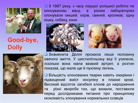 Традиційна біотехнологія презентация онлайн