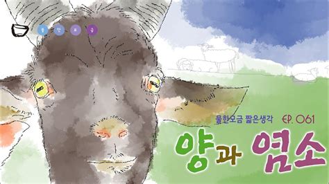 양과 염소 물한모금 짧은생각 061 Youtube