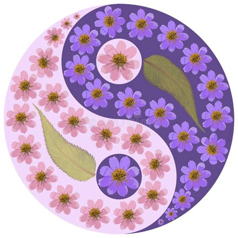 Floral Yin Yang Symbol Stock Vector Illustration Of Chinese 27546493