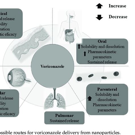 Classification Of Cryptococcus Species Download Scientific Diagram