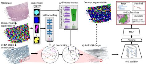 [논문 리뷰] from pixels to histopathology a graph based framework for