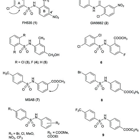 Chemical Structures Of Compounds 20 30 Inhibitors Of β Catenintcf