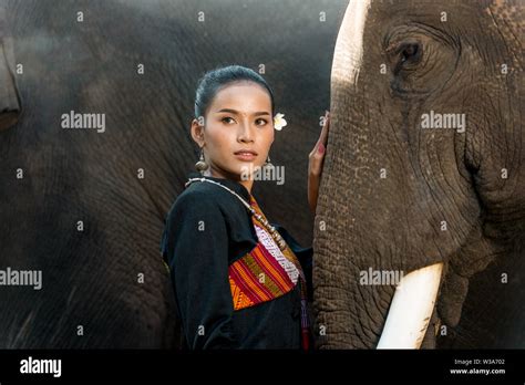 Elephant With Beautiful Girl In Asian Countryside Thailand Thai