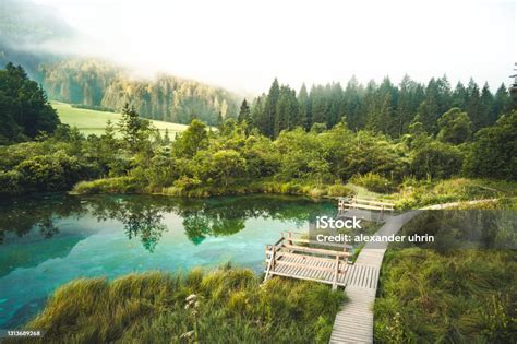 자연 보호 구역 젤렌치 크라인스카 고라 슬로베니아 유럽 젤렌치 자연 보호구역의 멋진 아침 전망 슬로베니아 여행 강에 대한 스톡 사진 및 기타 이미지 Istock