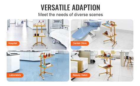 Vevor 2 Tiers Stainless Steel Lab Carts With 2 Trays And 4 Silent Wheels Golden Vevor Au