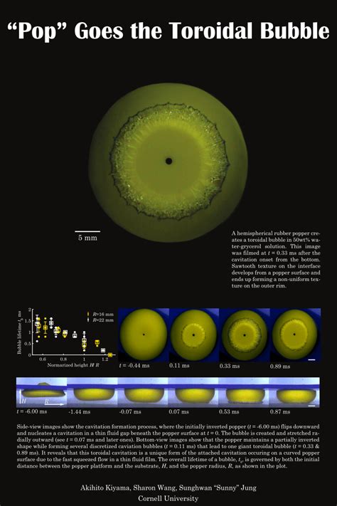 Pdf Poster Pop” Goes The Toroidal Bubble