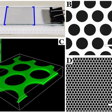 Fabrication Of Polycaprolactone Cell Delivery Scaffolds Via Ultraviolet Download Scientific
