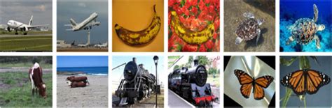 Some Examples Of Co Segmentation Showing Six Image Pairs Download