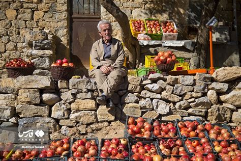 تصاویر جشنواره انار هورامان سایت انتخاب