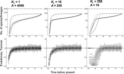 Temporal Patterns In Species Richness Lineage Accumulation And Download Scientific Diagram