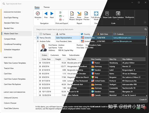 界面组件devexpress Wpf V232 更轻量级的主题支持 知乎