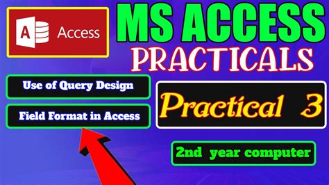 Field Formats In Ms Access Text Format In Access Access Practical