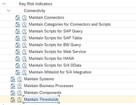 Issues Errors Related Fixes SAP GRC DataNub Technologies