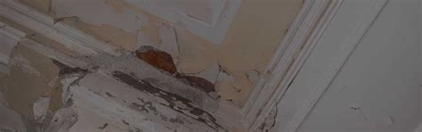 The Wrong Plaster Penetrating Damp Wessex Damp And Timber