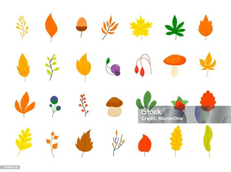 평평한 가을 숲 요소 잎 열매 아이콘 그래픽 잎 오크 마플 단풍 도토리와 로완 베리 추수 감사절 가을 완전 벡터 세트 아이콘 세트에 대한 스톡 벡터 아트 및 기타 이미지