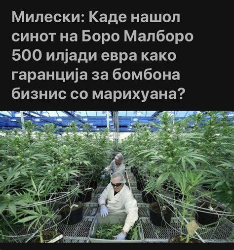 Во фирмата Еко Енерџи Космос ВМРО ДПМНЕ Пробиштип