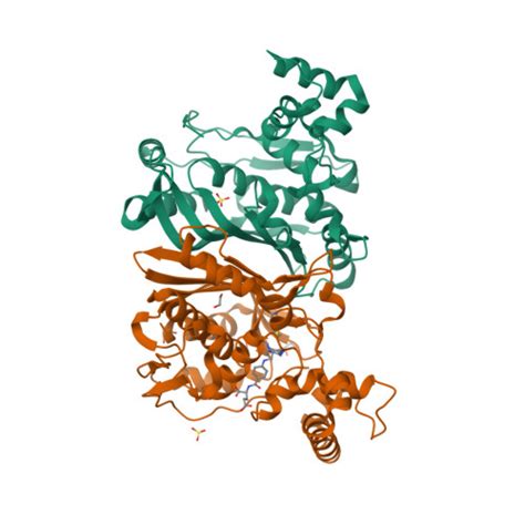 Rcsb Pdb 3uwl Crystal Structure Of Enteroccocus Faecalis Thymidylate Synthase Efts In