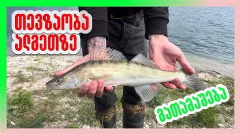 თევზაობა ალგეთზე ფარგა გვესტუმრა გათამაშება Pikehunter1991 Youtube