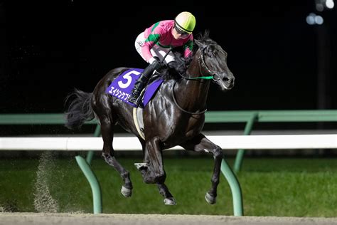 地方競馬全国協会nar公式 On Twitter 南部駒賞 1着はエイシンケプラー。本日盛岡競馬場で行われた、未来優駿2歳