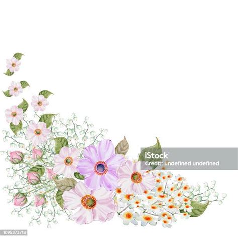 장미 코스모스 Leafs 결혼식 수채화 화 환 꽃다발 프레임 꽃 꽃 배열 장식 손 그린에 고립 된 흰색 배경 그림 그리기에 대한