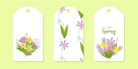 Layout Template Of Colored Labels For Clothes Isolated Fashion Template Vector Isolated