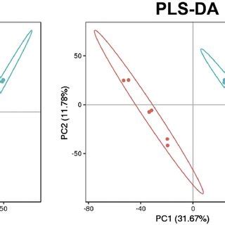 Score Plots Of The PCA And PLS DA Models Download Scientific Diagram