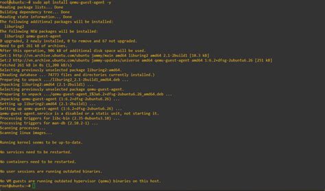 Cài đặt Proxmox Qemu Guest Agent MÁy ChỦ Vina