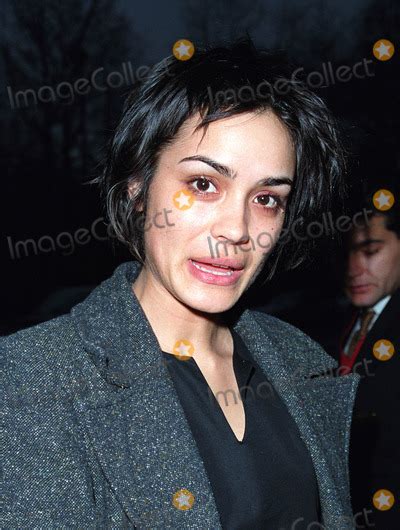 Shannyn Sossamon Pictures And Photos
