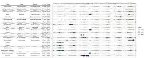 R语言ggplot2优雅的绘制高端气泡图ggplot气泡图 Csdn博客